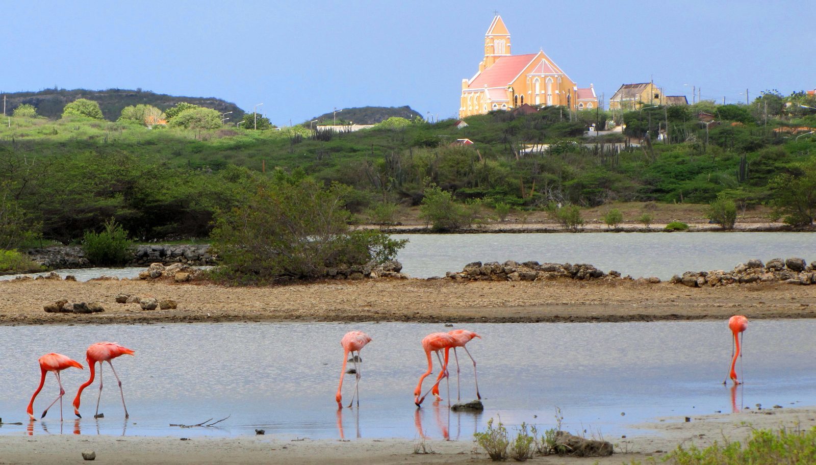 Curaçao algemeen - Villa Drumi Dushi