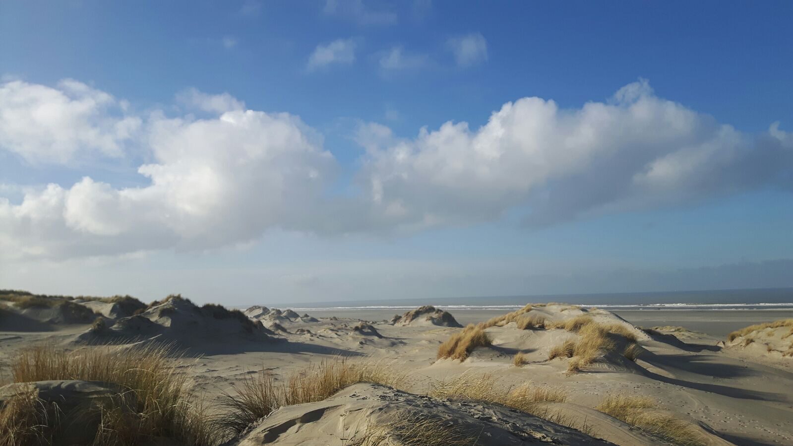 Stranden | Résidence Terschelling